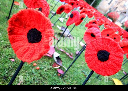 a display of knitted poppies commemorating remembrance day Stock Photo ...
