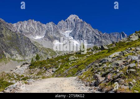 Aiguille du Chardonnet mountain summit in summer in the Alps beautiful ...