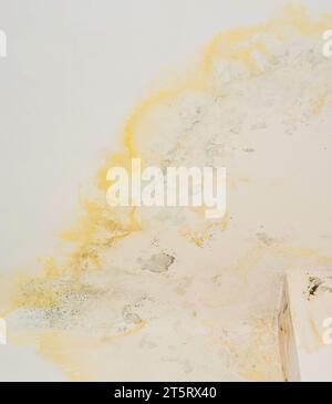 Water-damaged ceiling from flooding by neighbors or damaged rooftop ...