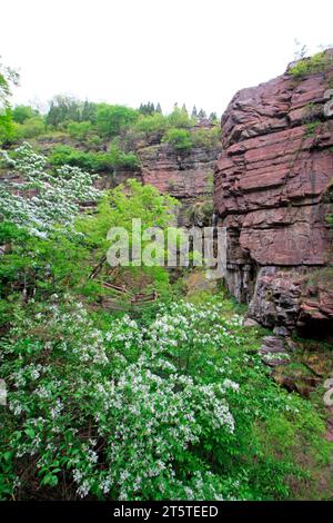 Yuntai mountain scenic spot Natural scenery, jiaozuo city, henan ...