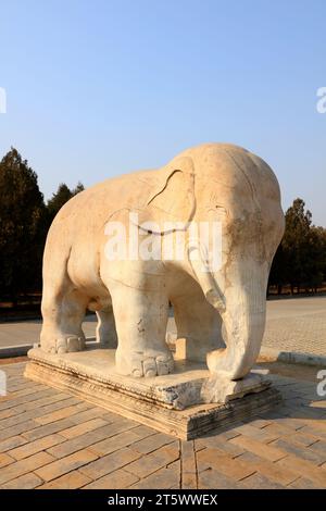Chinese ancient elephant sculptures Stock Photo - Alamy