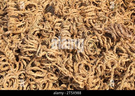 straw ropes stacked together Stock Photo - Alamy