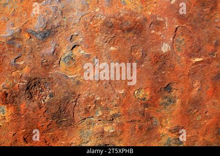 Mottled rust, closeup of photo Stock Photo - Alamy