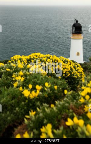Maughold Head Lighthouse, The Isle of Man Stock Photo - Alamy