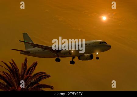 Plane landing towards sunset. Livery Free Airbus A320-200 Stock Photo ...