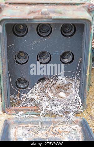 Old electrical installations Stock Photo - Alamy