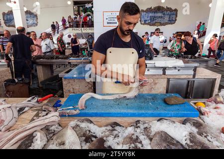 Black scabbardfish (Aphanopus carbo) being filleted, fish hall, fish ...