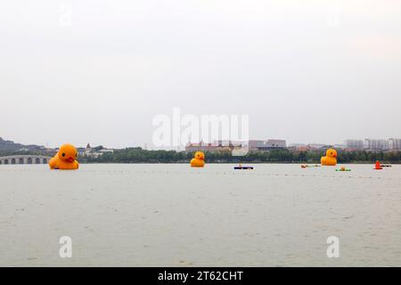 Giant rubber duck in the central lake, Tangshan, China Stock Photo - Alamy