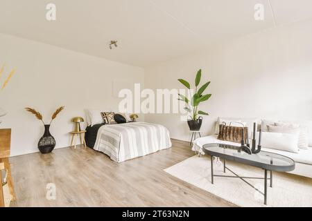 Coffee table with houseplant and blanket on armchair near brown wooden ...