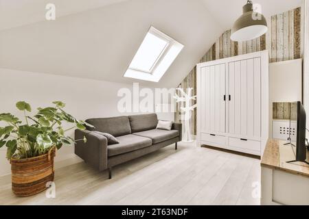 Comfortable grey sofa and houseplant in interior of living room ...