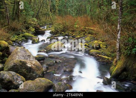 North Fork Wallace River, Wallace Falls State Park, Washington Stock ...