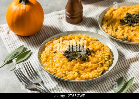 Homemade Autumn Pumpkin Risotto with Sage and Butter Stock Photo - Alamy