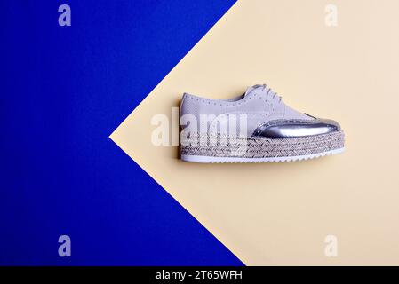 shopping concept. female leather stylish footwear. pair of fashionable ...