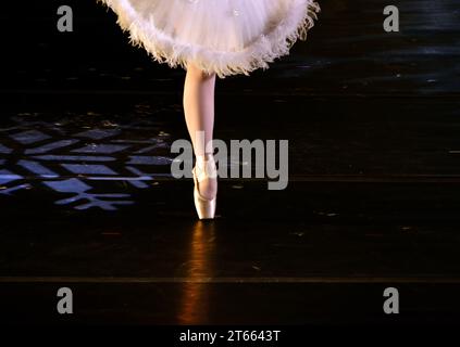 Ballet dancer holding her toe shoes and smiling isolated on white ...