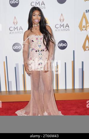 Nashville, Tennessee, USA. 08th Nov, 2022. Tyler Braden. 68th BMI ...