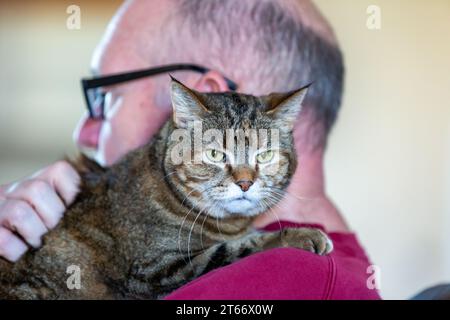 A man holds a cat on his shoulder during the annual St Patrick's Day ...