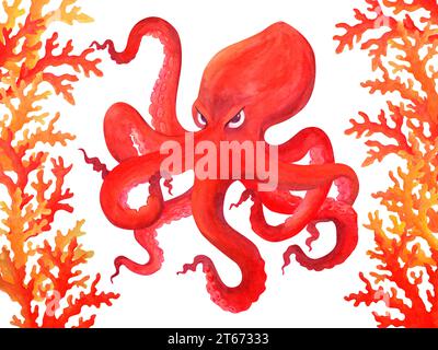 Watercolor illustration of octopus isolated on white background Stock ...