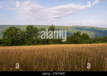 The Hinchcliff Family Perserve in the Finger Lakes Stock Photo - Alamy