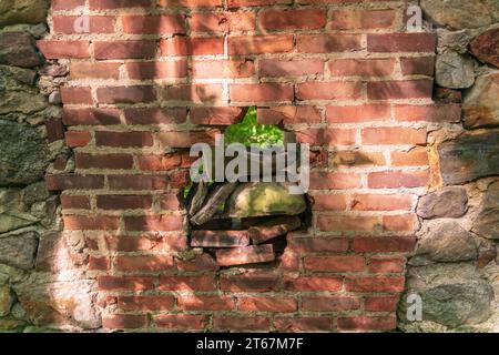 The Hinchcliff Family Preserve in Upstate New York Stock Photo - Alamy