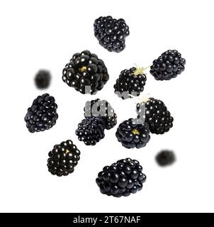 Many fresh blackberries falling on white background Stock Photo - Alamy