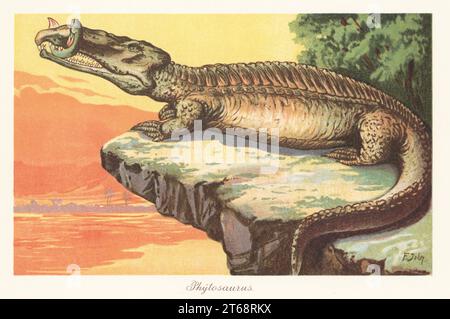 Reconstruction of a phytosaur, Nicrosaurus kapffi, of the Late Triassic ...
