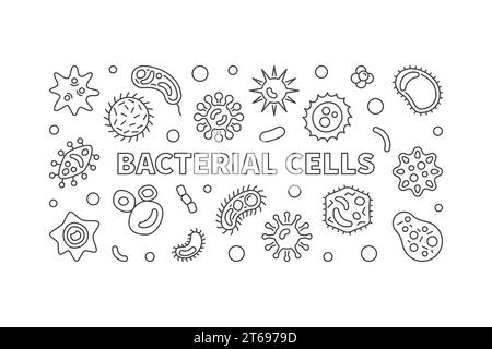 Bacterial cells horizontal banner. Vector outline simple illustration ...