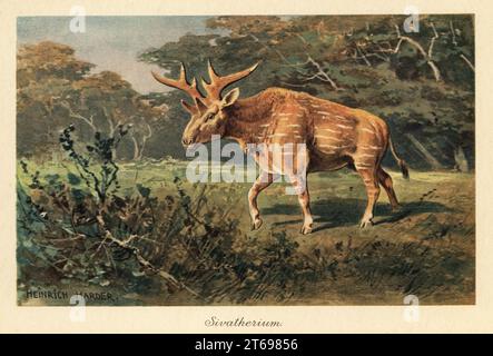 Shiva's beast or Sivatherium, Sivatherium giganteum, extinct species of ...