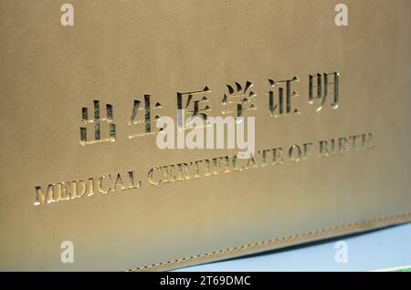 Chinese Medical Certificate of Birth,Birth Certificate in China Stock ...