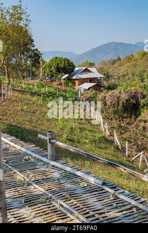 Walkway at the Akha Cottage coffee shop and restaurant in Chiang Rai ...