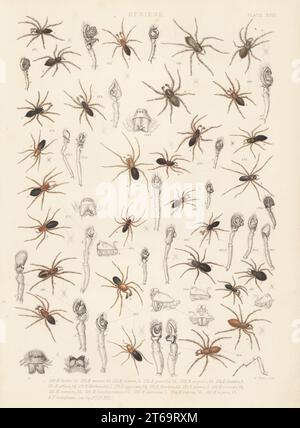 X-ray . 182 ^ Stock Photo - Alamy