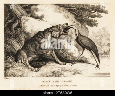 'The Wolf and the Crane' from 'The Fables of Aesop and Others ...