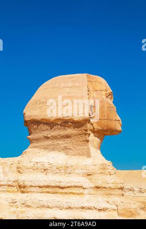 Profile of the Sphinx in the Giza Valley, Egypt Stock Photo - Alamy
