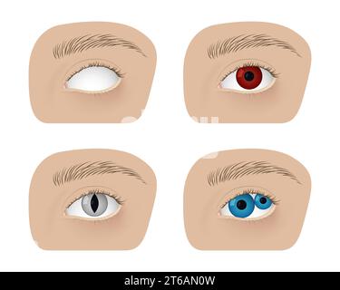 Eye ball vector retina closeup side view isolated icon. Round Eyeball ...