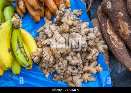 Vegetables and fruits from the peruvian jungle Stock Photo - Alamy