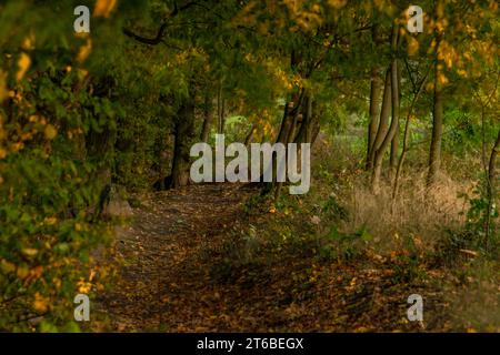 Landscape near Bludov and Sumperk towns in autumn color fresh evening ...