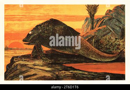 Asterolepis cornutus, extinct species of armour-plated fish, antiarch ...