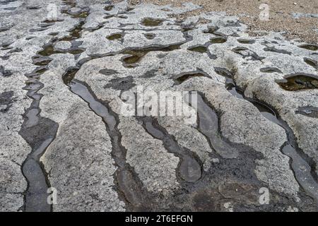 Yachats Basalt on the Oregon Coast, formed as a result of ancient lava ...