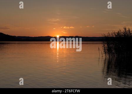 Waginger See, at sunset, Kuehnhausen, Berchtesgadener Land, Bavaria ...