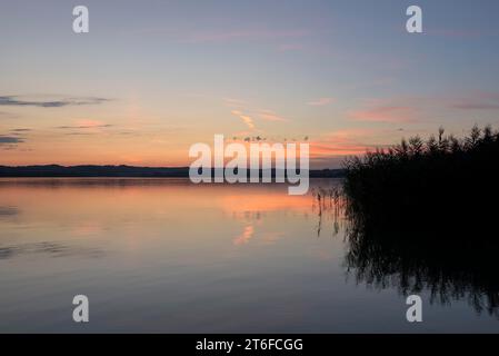 Waginger See, at sunset, Kuehnhausen, Berchtesgadener Land, Bavaria ...