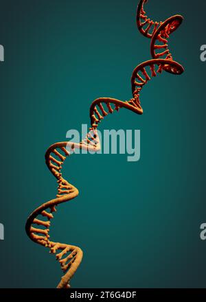 Single-stranded molecule of RNA called messenger ribonucleic acid - 3d ...