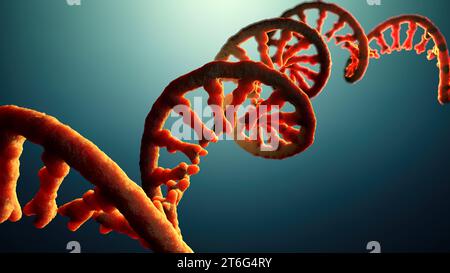 Single-stranded molecule of RNA called messenger ribonucleic acid - 3d ...