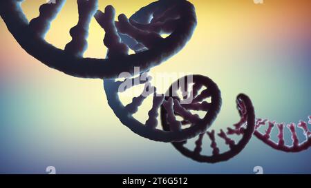 Single-stranded molecule of RNA called messenger ribonucleic acid - 3d ...