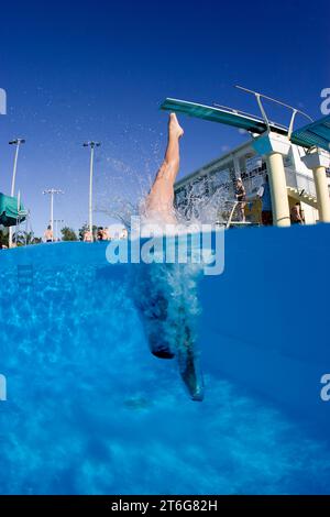 Diver jumping from springboard and entering water, Key Largo, Florida ...