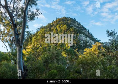 Ancient Volcano at Mount Jim Crow (Baga) National Park near Yeppoon ...