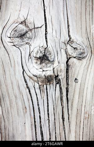 Pareidolia of a recognizable face on wood Stock Photo - Alamy