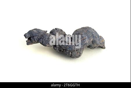 Coprolite or coprolith is a fossilized feces. Sample Stock Photo - Alamy