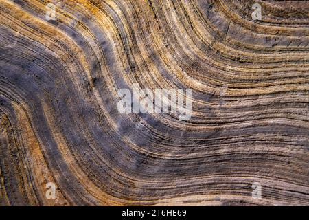 Macro detail of the folded schist metamorphic rock Stock Photo - Alamy