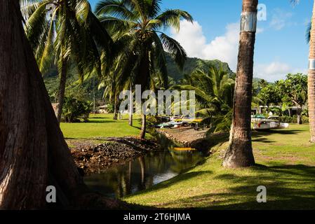 Palm trees at Teahupo'o village Stock Photo - Alamy