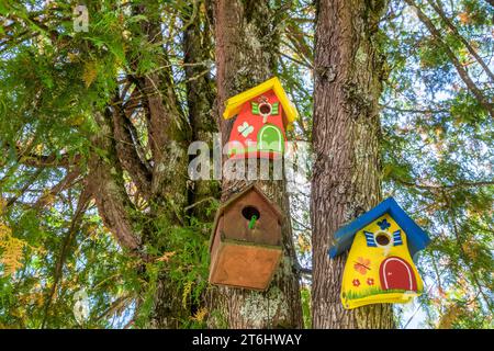 Colorful decorative bird boxes hanging from a tree Stock Photo - Alamy