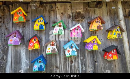 painted birds nesting-boxes on winter park tree Stock Photo - Alamy